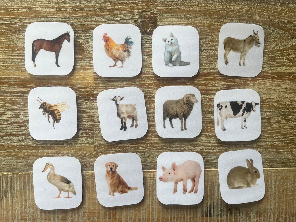 Farm Animal Flash Cards Travel Toy Car Activity Animal Mstching ...