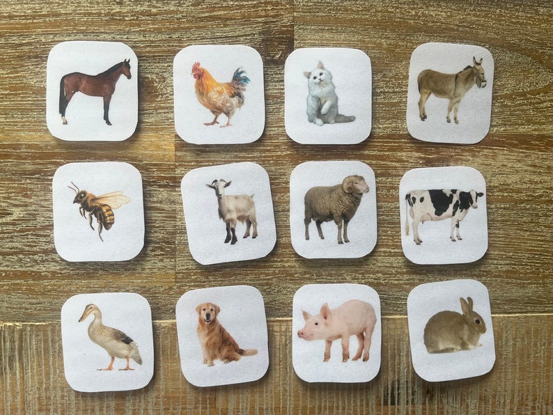 Farm Animal Flash Cards Travel Toy Car Activity Animal Mstching ...