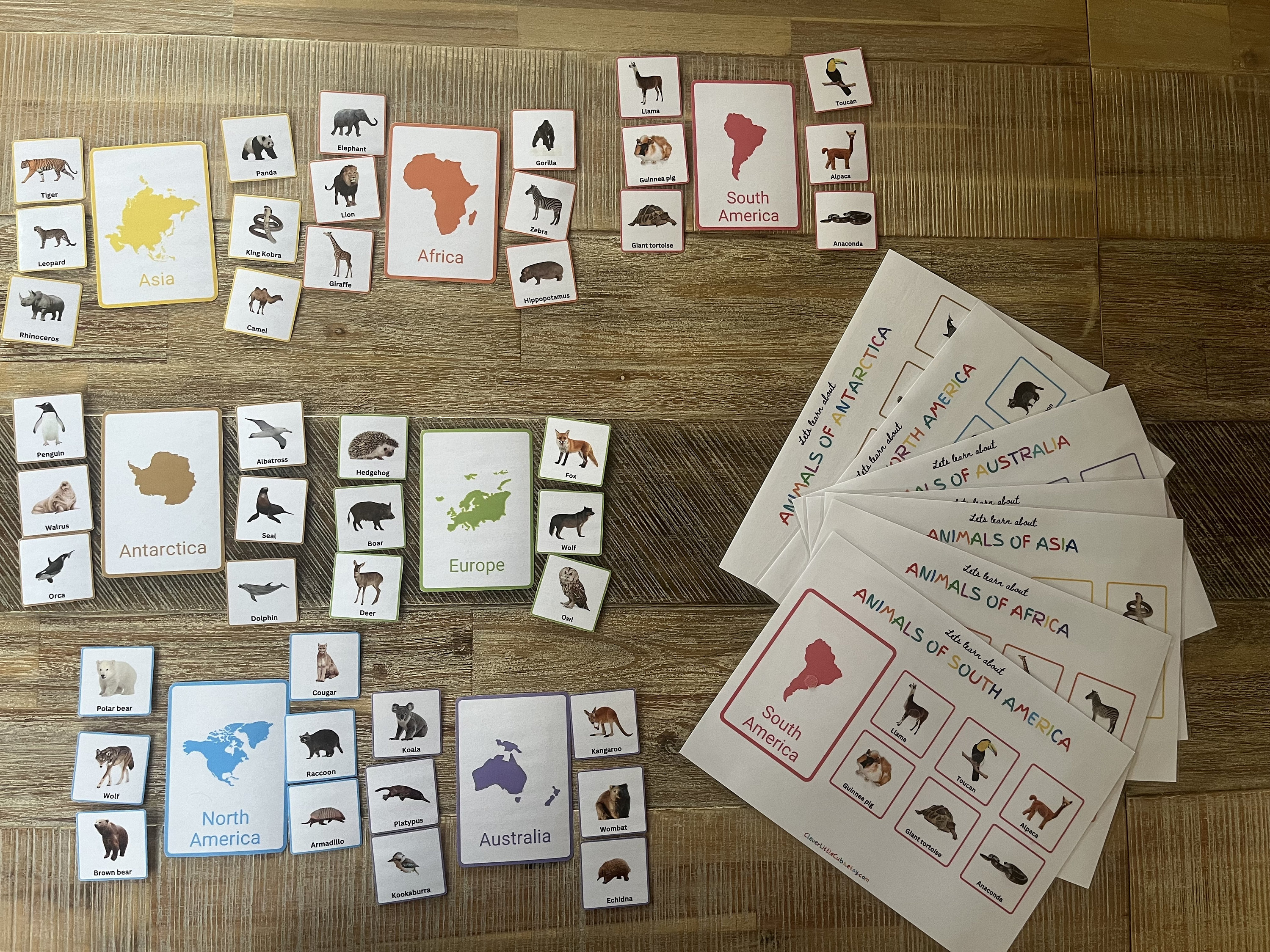 Animals Flash Cards Animals of the Continents Homeschool Material ...