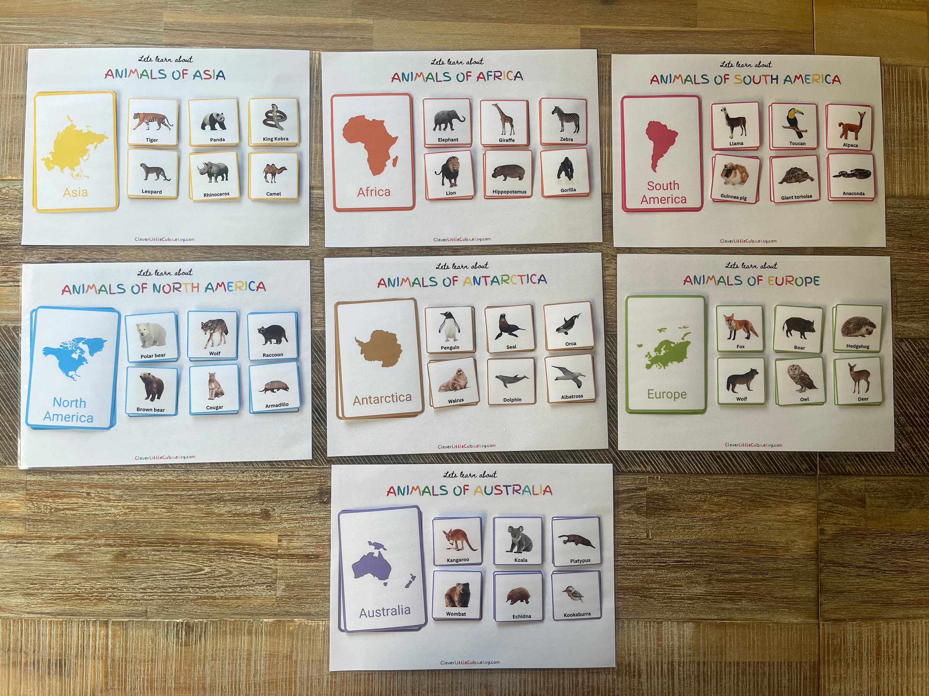 Animals Flash Cards Animals of the Continents Homeschool Material ...