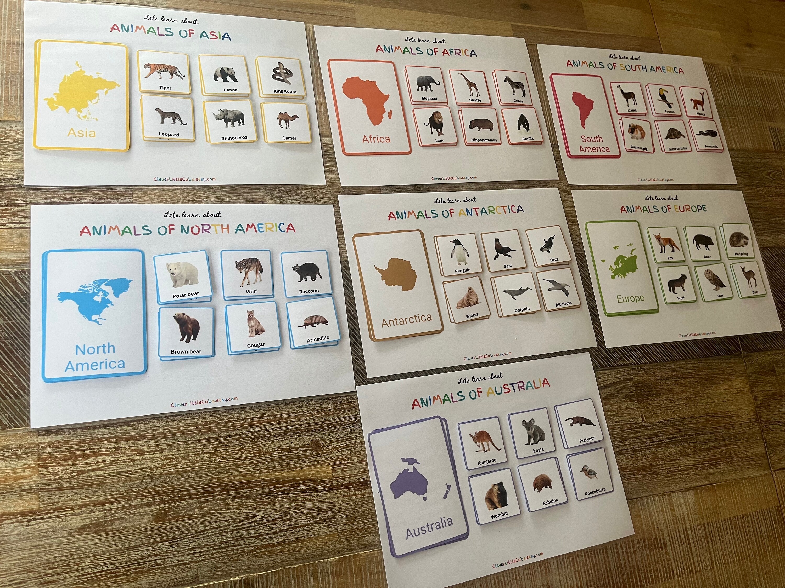 Animals Flash Cards Animals of the Continents Homeschool Material ...