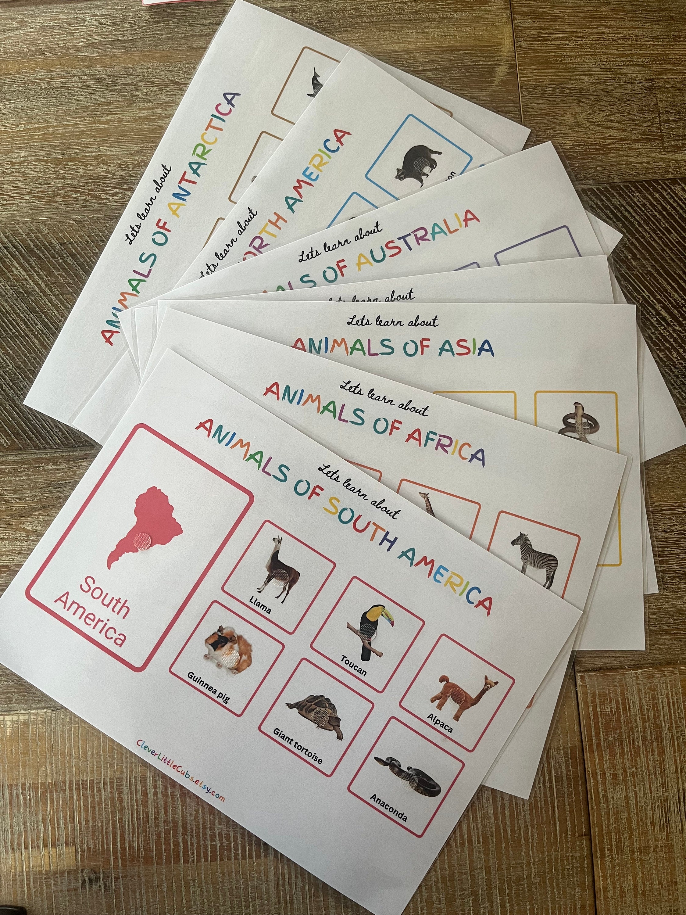 Animals Flash Cards Animals of the Continents Homeschool Material ...