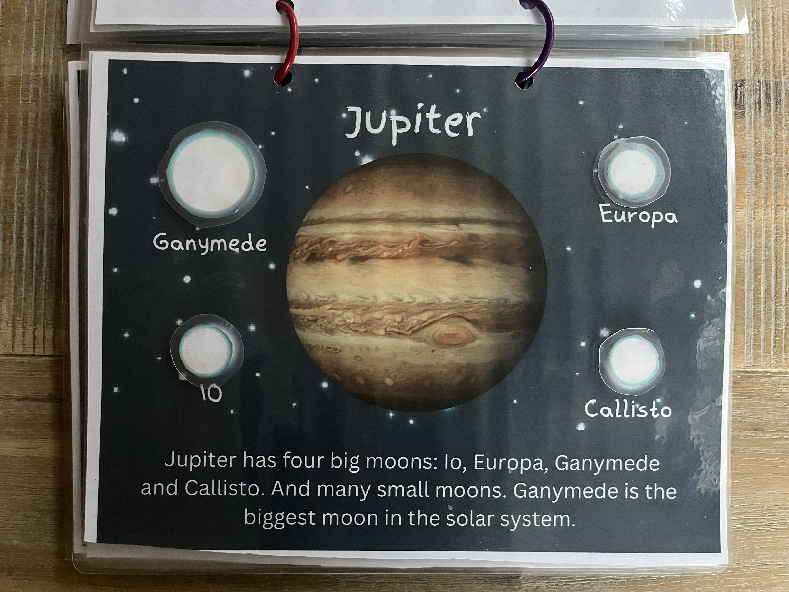 Moons of the Planets Moons Matching Activity Planets Busy Book Planets ...