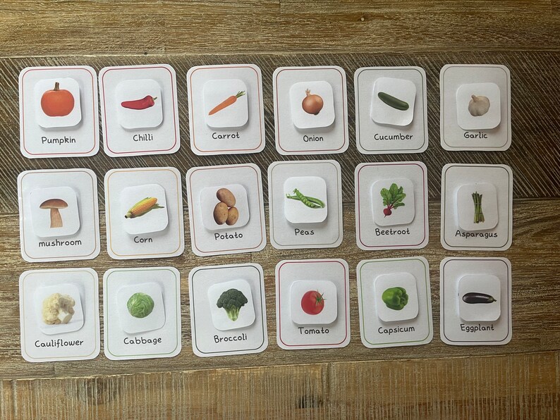 Vegetables Flash Cards Vegetables Matching Activity Kids Flash Cards ...