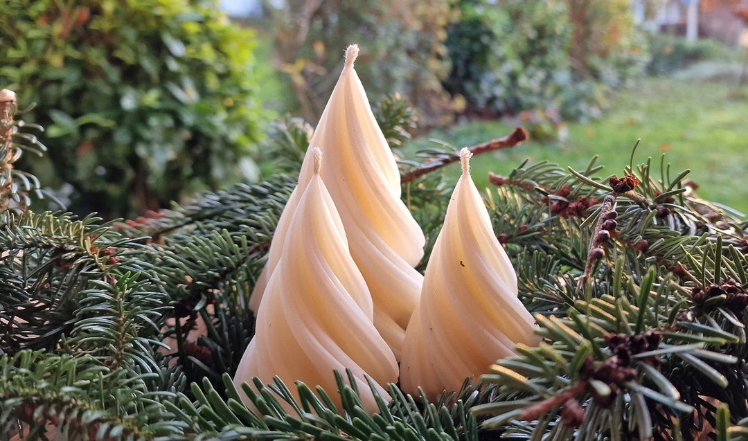 Olive Wax Fir Candle - Etsy