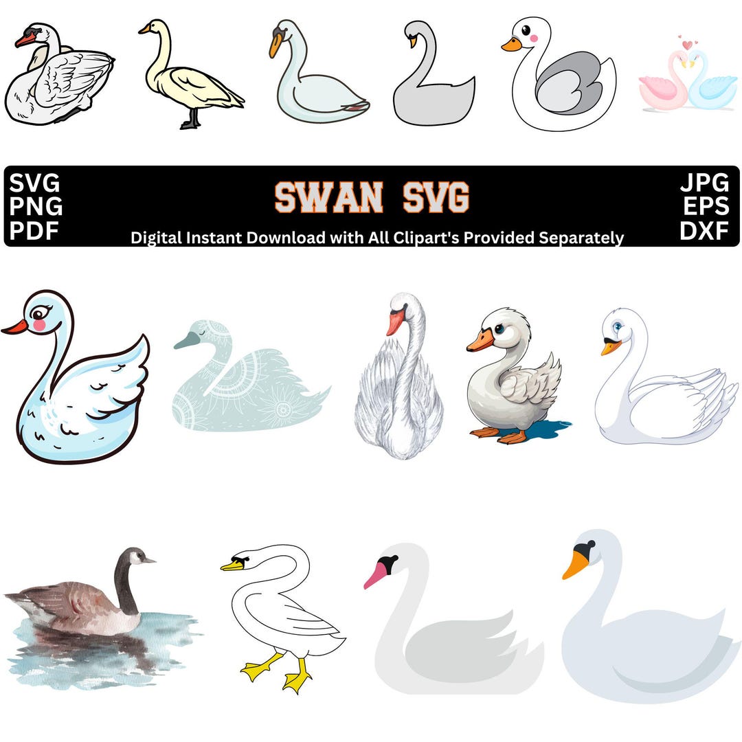 Swan Svg Bandle, Swan Svg, Swan Bundle Png, Swan Clipart, Swan Cut Files for Cricut, Swan Vector ...