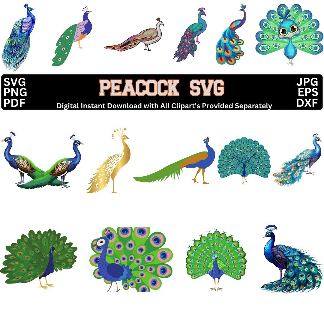 Peacock SVG Bundle, Peacock Dxf, Peacock Png, Peacock Vector, Peacock ...