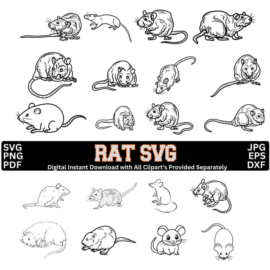 Rat SVG Bundle, Rat PNG Bundle, Rat Clipart, Rat Cut Files for Cricut ...
