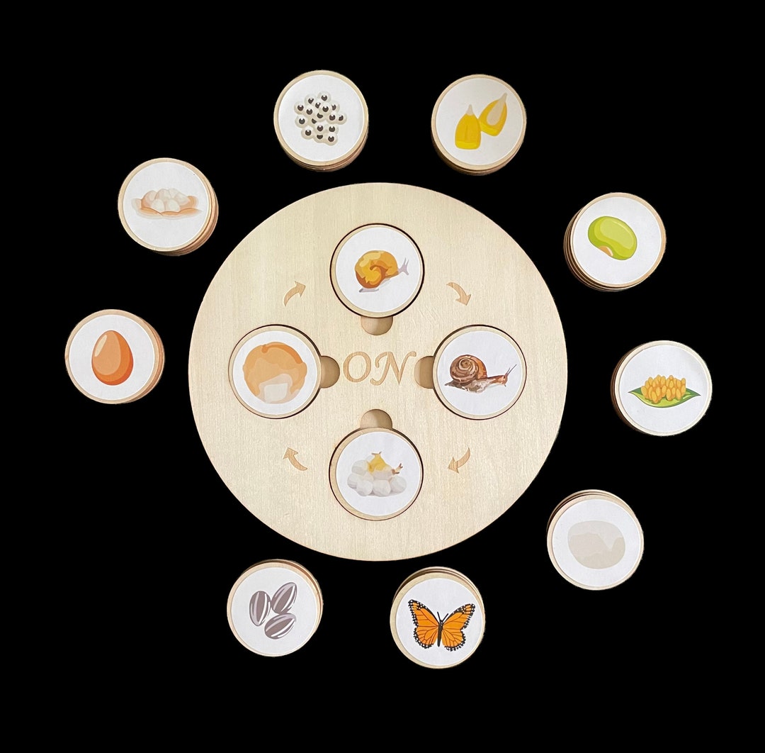 Montessori Life Cycle Board Wooden Sensory Educational Toys - Etsy