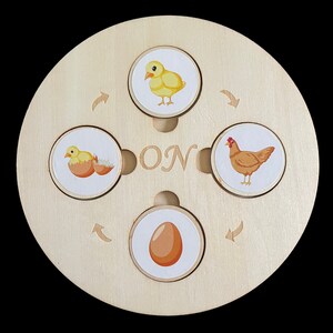 Montessori Life Cycle Board Wooden Sensory Educational Toys - Etsy