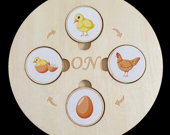 Customized Board Montessori Wooden Life Cycle Board Montessori Inspired ...