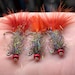 Balanced Leech Pack 3 Count - Etsy