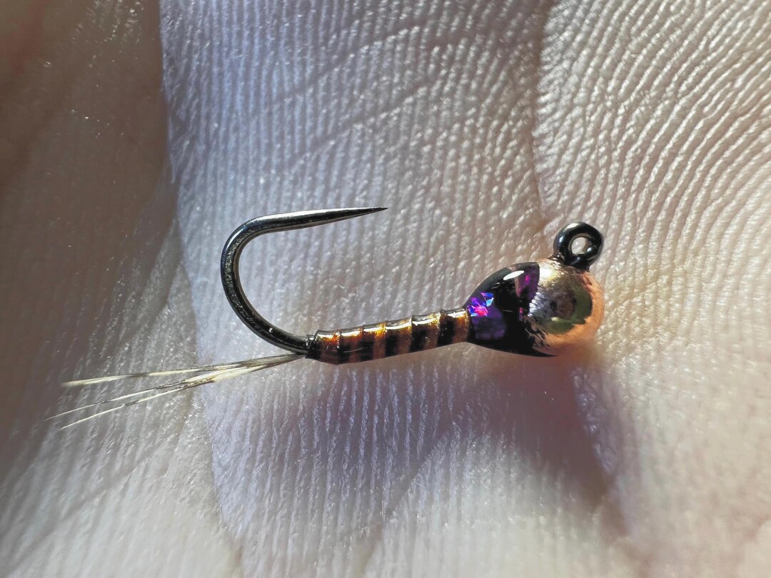 Purple Perdigon- 6 Pack - Etsy