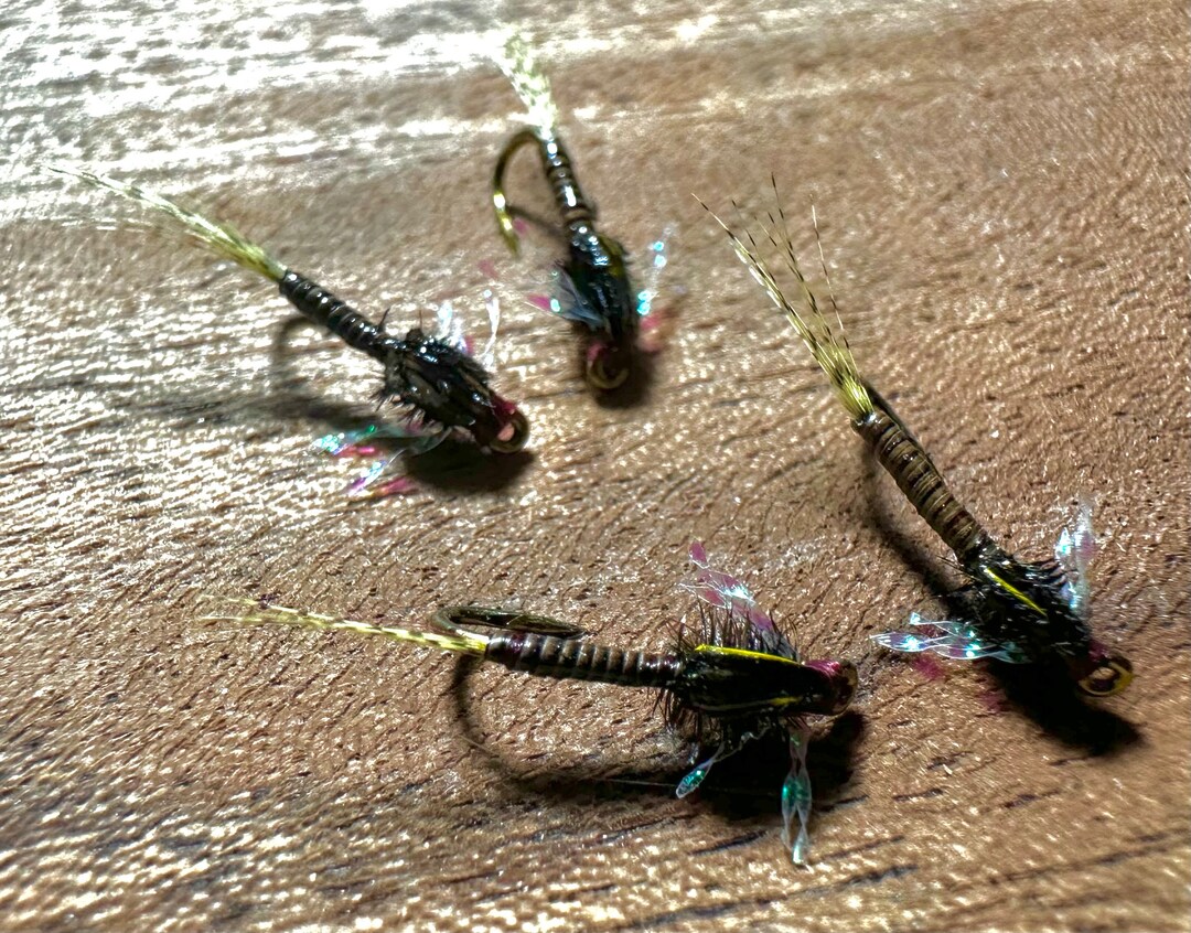 BWO Nymph Size 16- 4 Count - Etsy