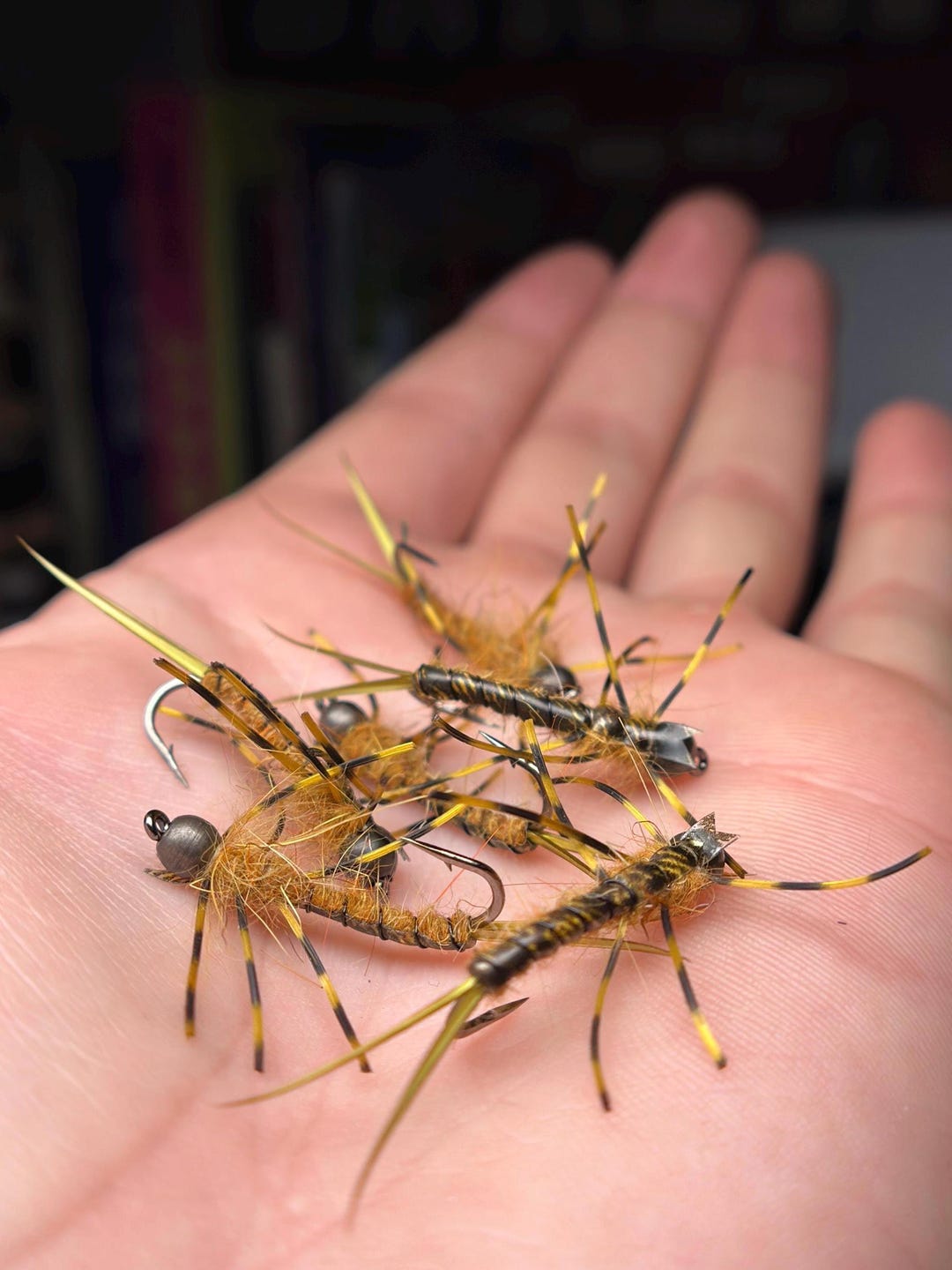 Golden Stonefly Size 8- 6 Pack - Etsy