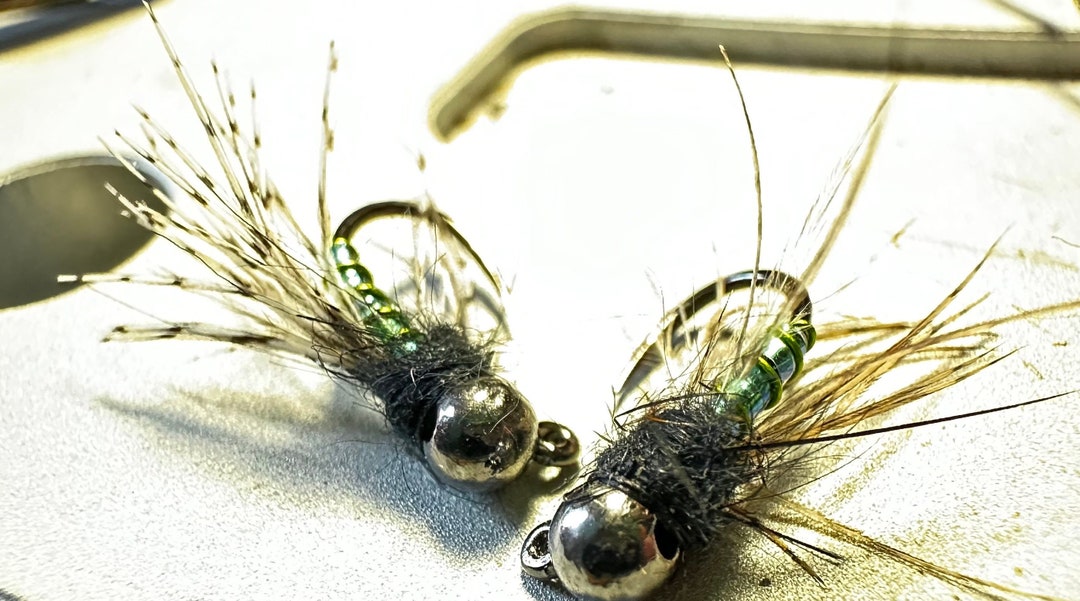 Jigged GT Caddis Tungsten Nymph- 6 Pack - Etsy