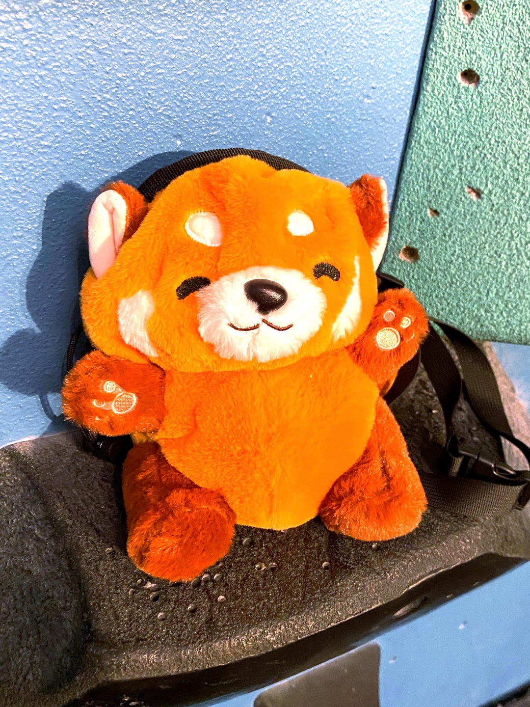 Cute Red Panda Climbing Chalk Bag - Etsy