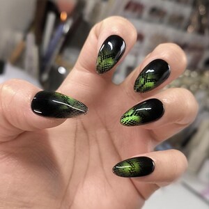 Green Tigers Eye Acrylic Nails/ Hand Drawn Scales Pattern Press on ...
