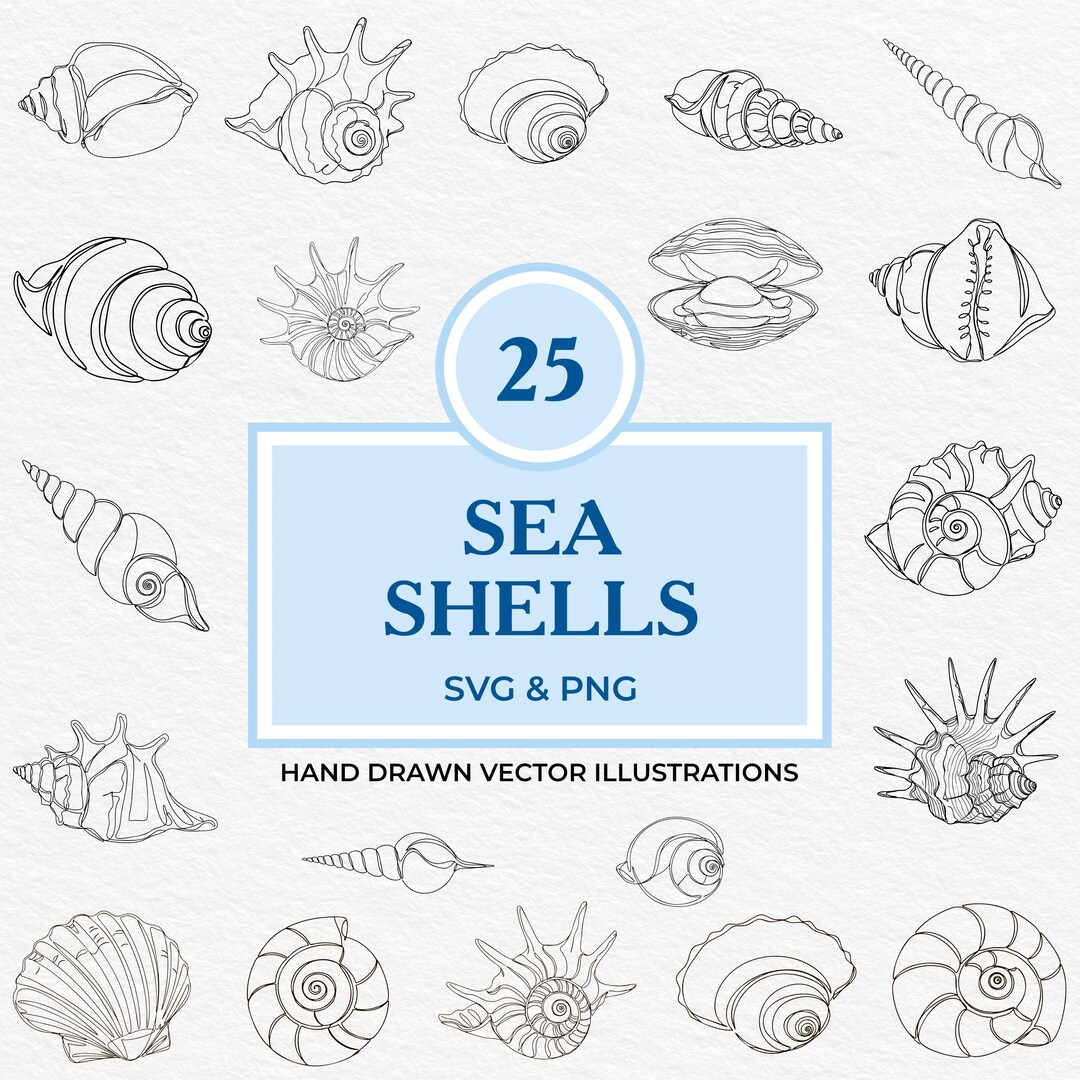 25 Sea Shells SVG PNG Bundle | Hand Drawn Coastal Shell Clipart ...