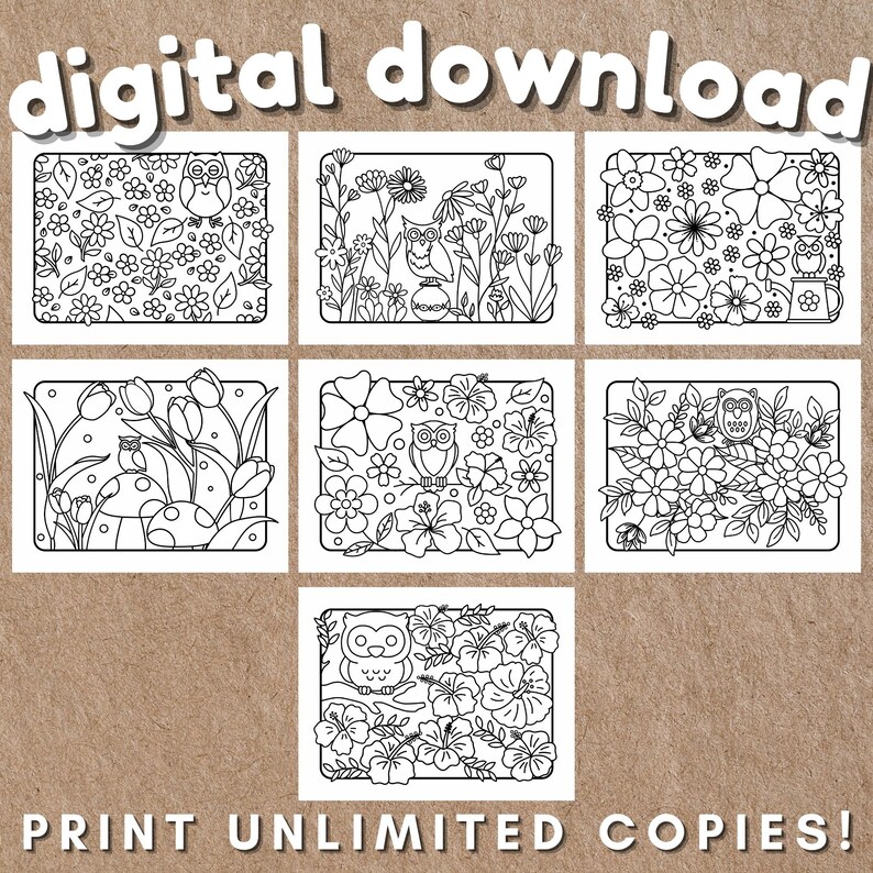 Cute Owl and Flower Coloring Pages 7 Page Cute Cozy Calm Relaxing ...