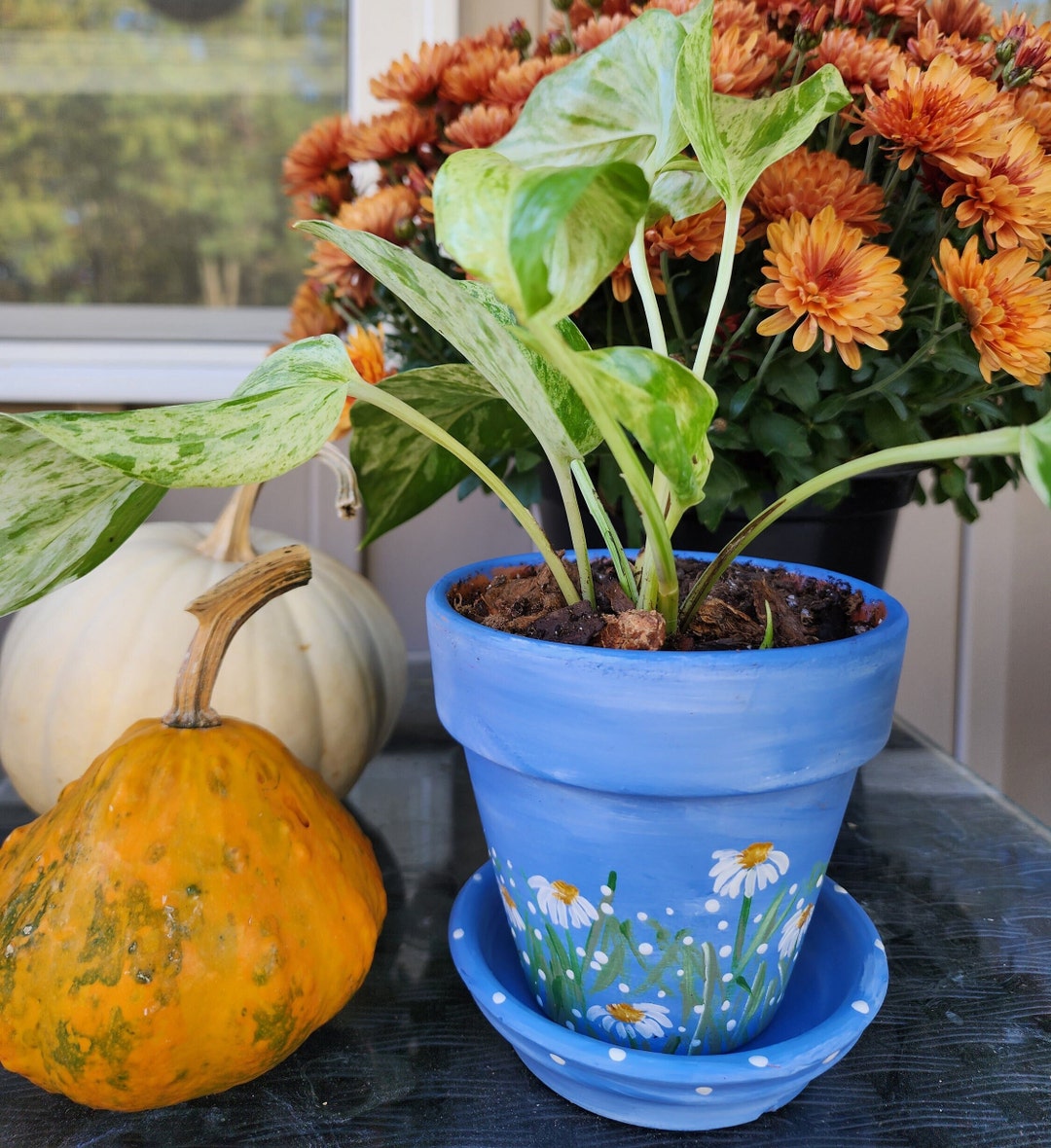 Small Hand-painted Terracotta Cone Flower Pot & Saucer - Etsy