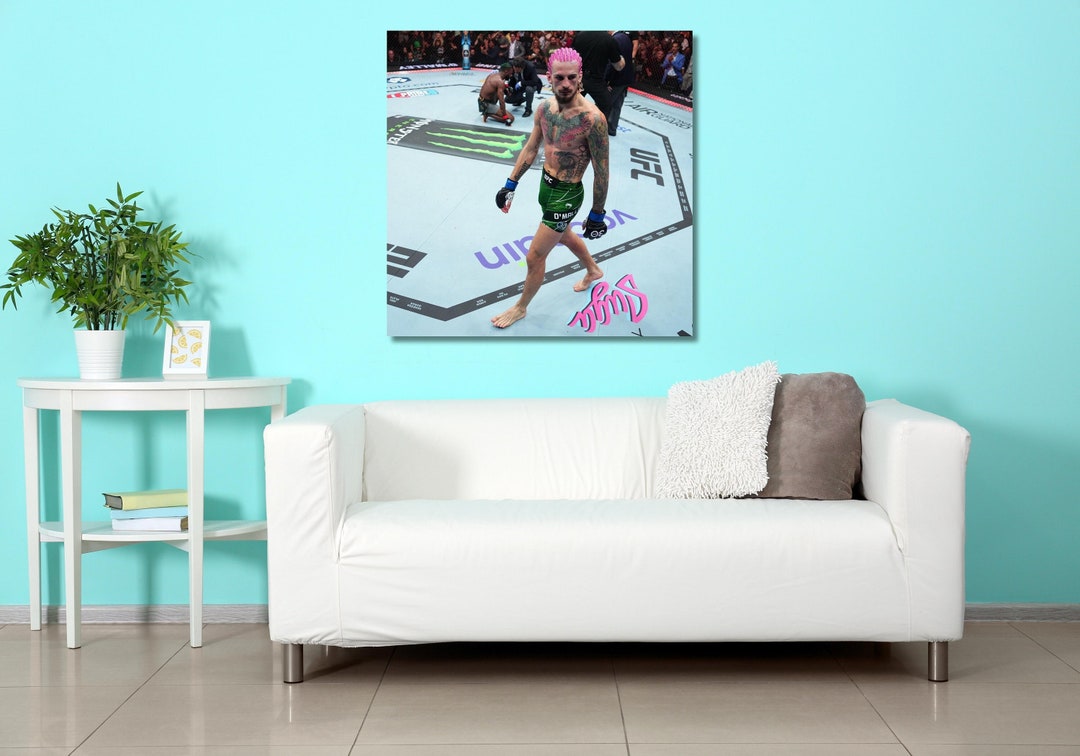Suga Sean O'malley KO Art,suga Sean O'malley Poster , Suga Sean O ...