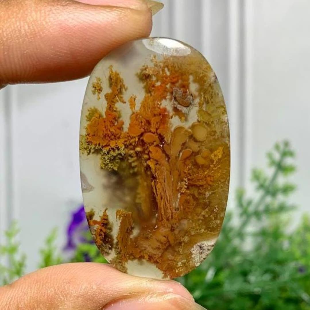 Moos Agate Flower Ll Agate Flower Multicolor Pertified Wood Ll Agate ...