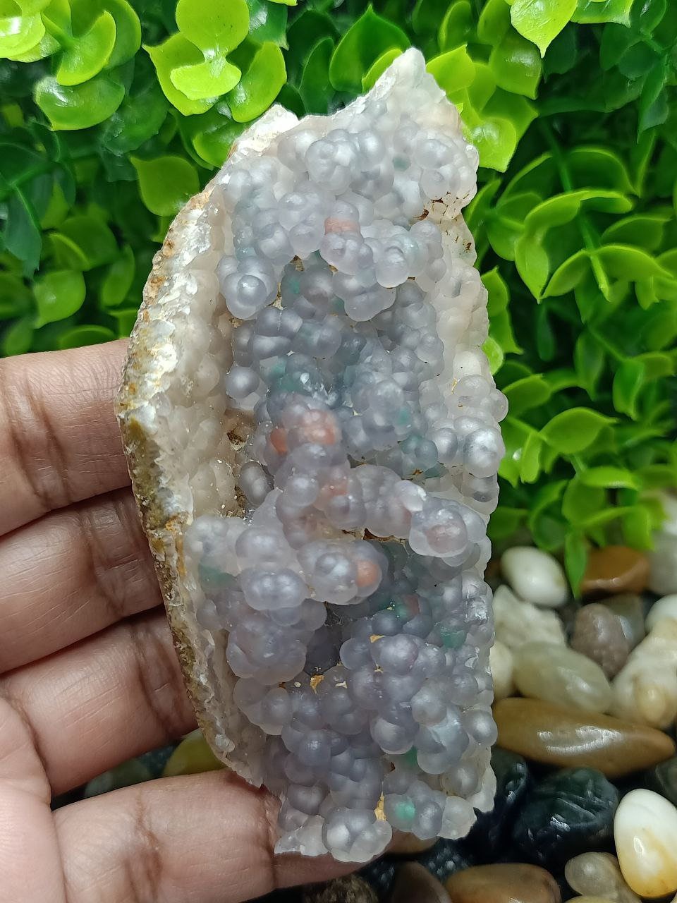 Specimens Botryoidal Chrysocolla Native Copper Size 73,3x38,7x15mm ...