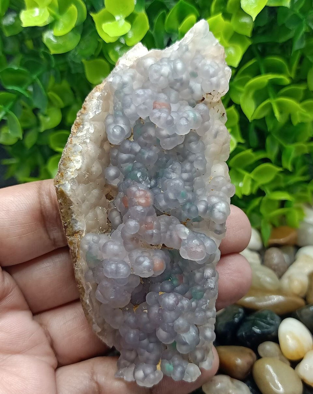 Specimens Botryoidal Chrysocolla Native Copper Size (73,3x38,7x15mm ...