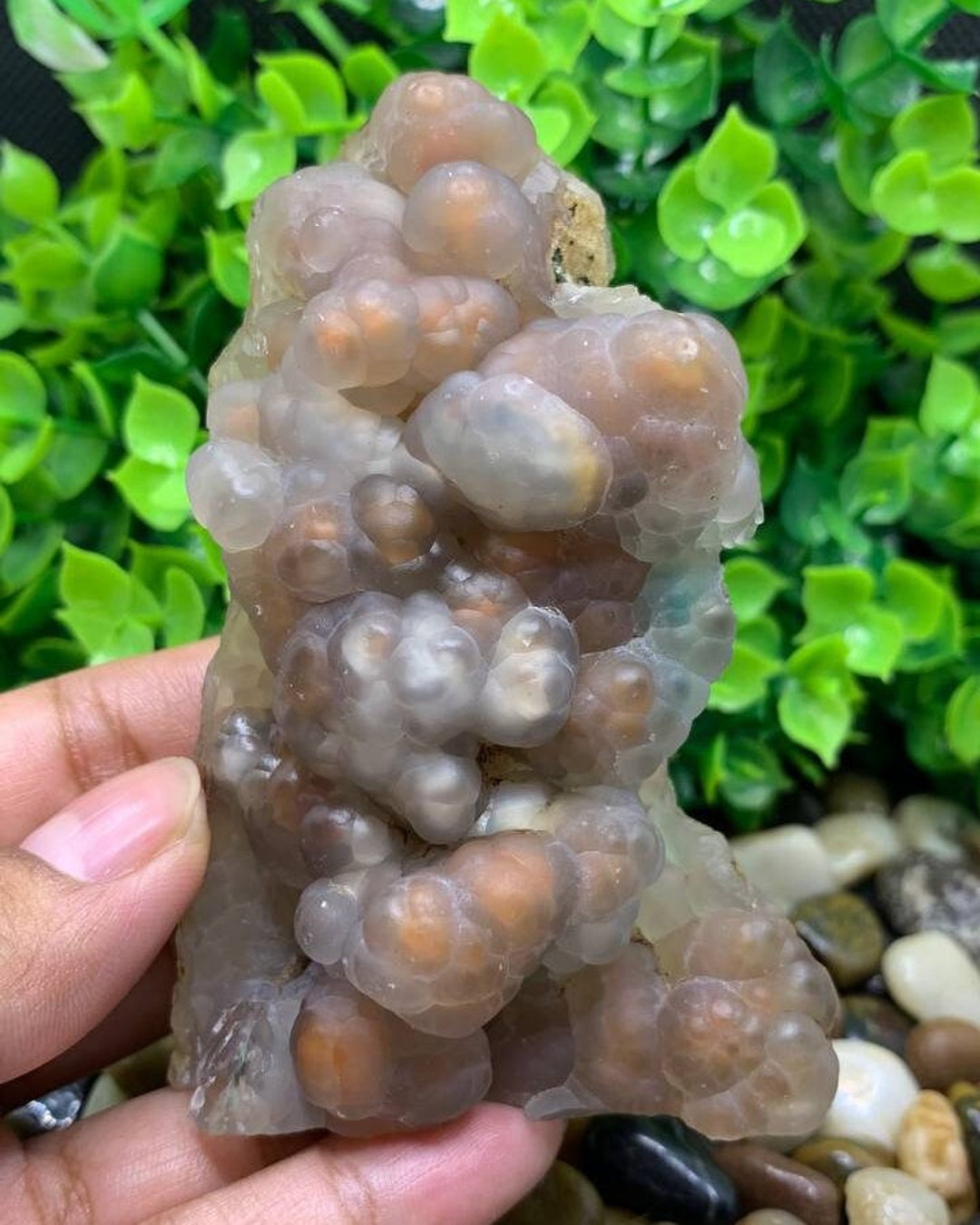 Amazing Antique Botryoidal Chrysocolla Native Copper Specimen Slabs ...