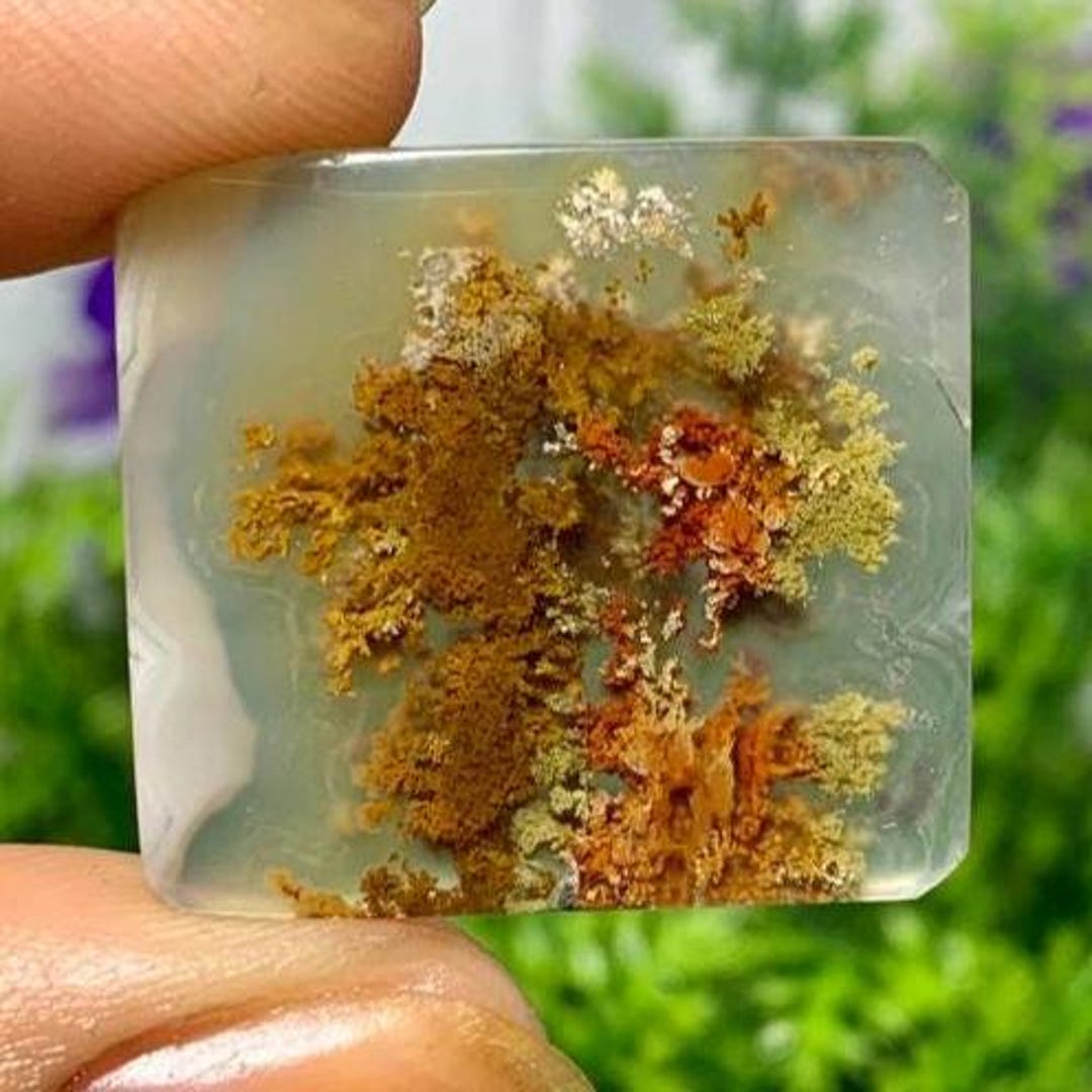 Moos Agate Flower Ll Agate Flower Multicolor Pertified Wood Ll Agate ...