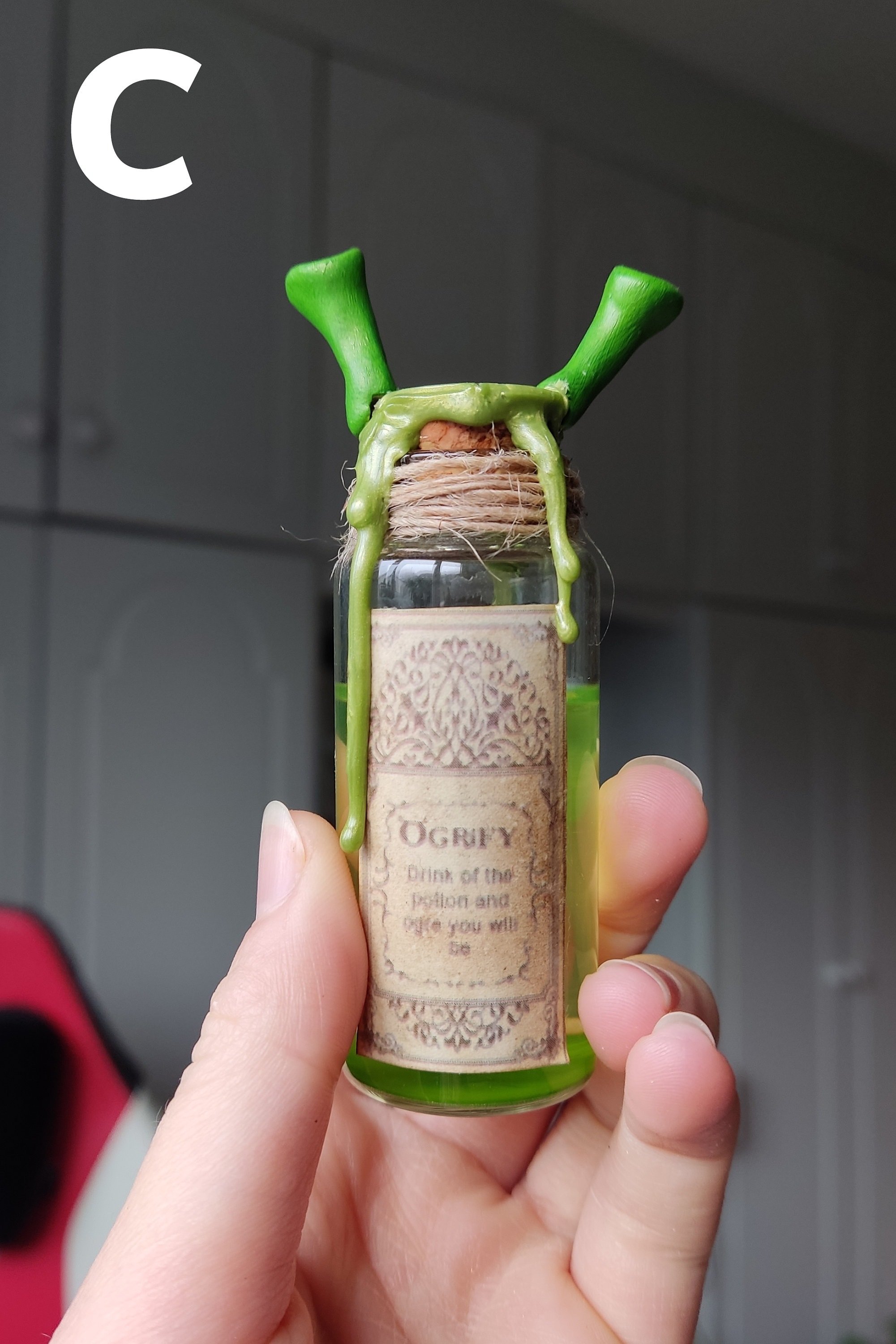 Shrek Inspired Colour Changing Ogre Potion/ Elixsir - Etsy