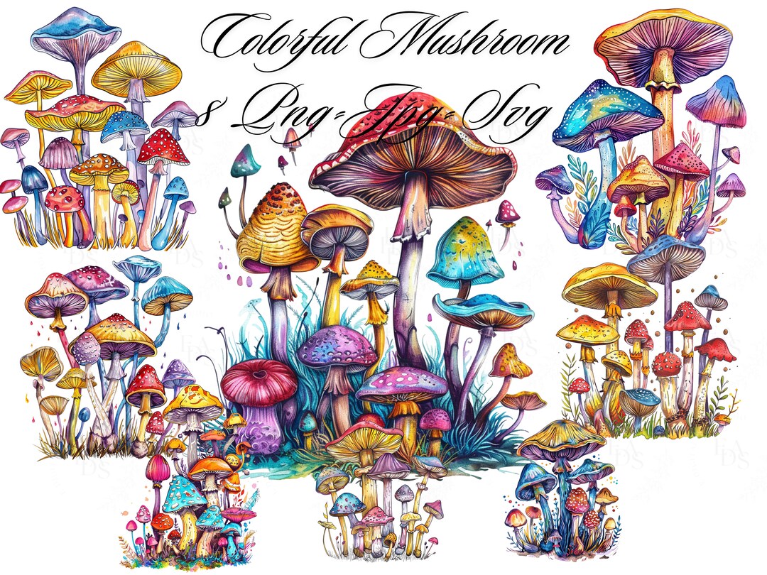 Colorful Mushrooms Clipart Cute Nature Toadstool Clip Art PNG Format ...