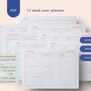 12 Week Year Planner | Goal Setting Printable | 90 Day Goal Plan ...