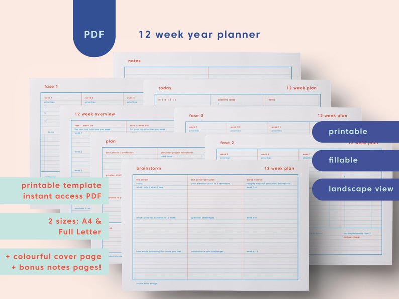 12 Week Year Planner | Goal Setting Printable | 90 Day Goal Plan ...