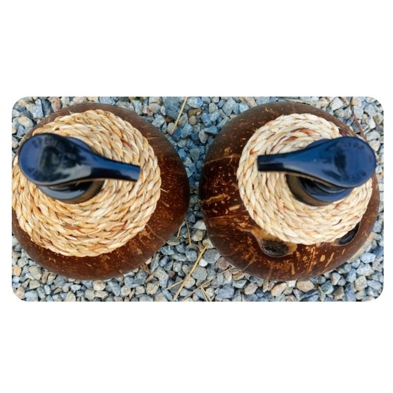 Coconut Shell Soap Dispenser Set: Handmade Tropical Bathroom Decor - Etsy