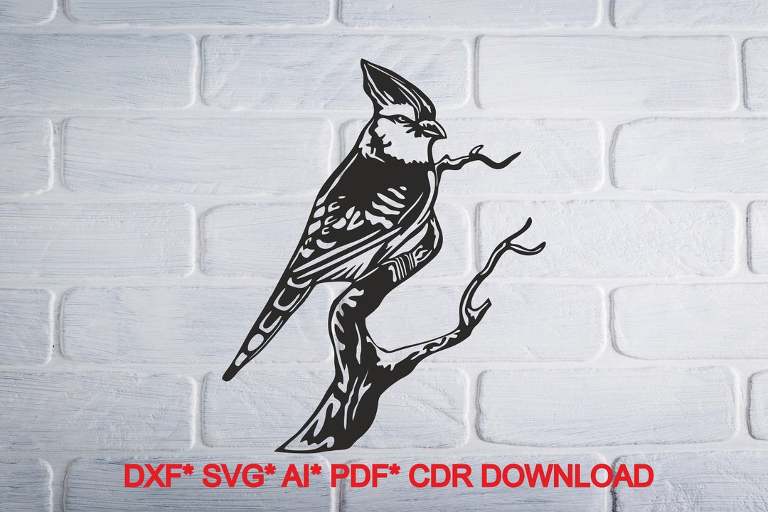 Bird SVG/DXF Animal Svgdxf Digital Download dxf, Svg, Pdf, Cdr, Ai ...