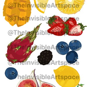 Fruit Digital Clip Art, Fruit Bundle Design Art, Downloadable Fruit ...