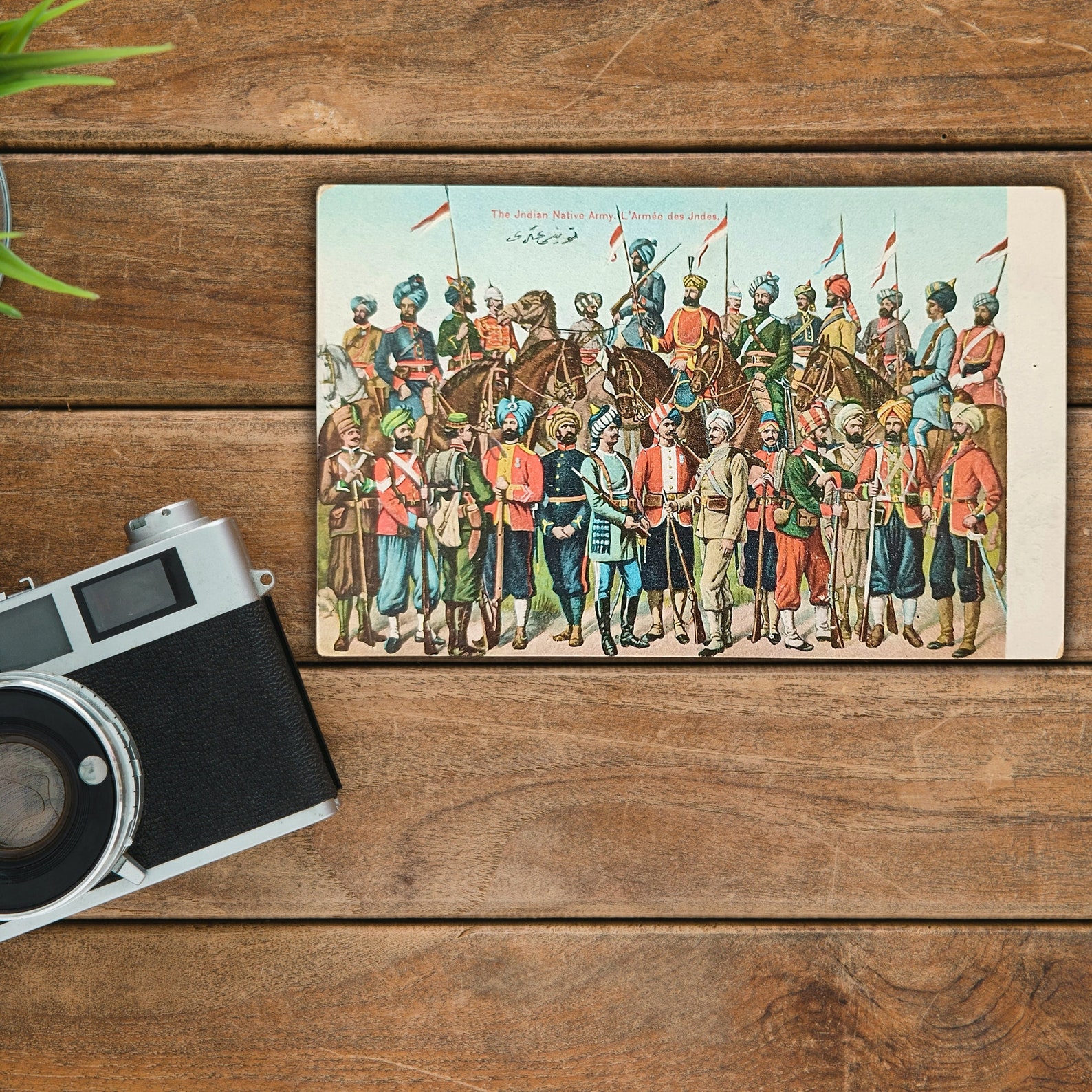 Indian Soldiers and Horses in National Costumes, Vintage Postcard From ...