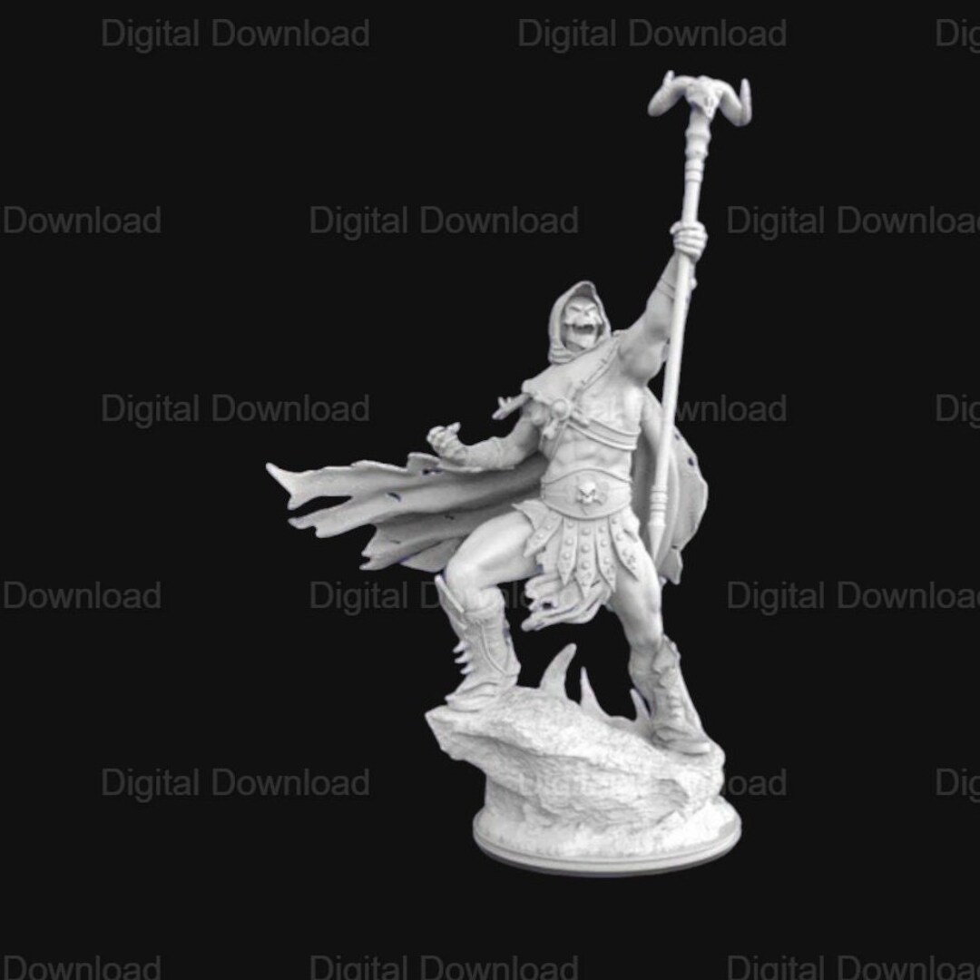 He-man Skeletor STL, Skeletor 3D Model Print Files - Etsy