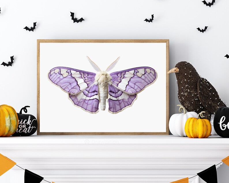 Purple Moth Wall Art DIGITAL DOWNLOAD Fall Moth Photo Autumn Moth Art ...