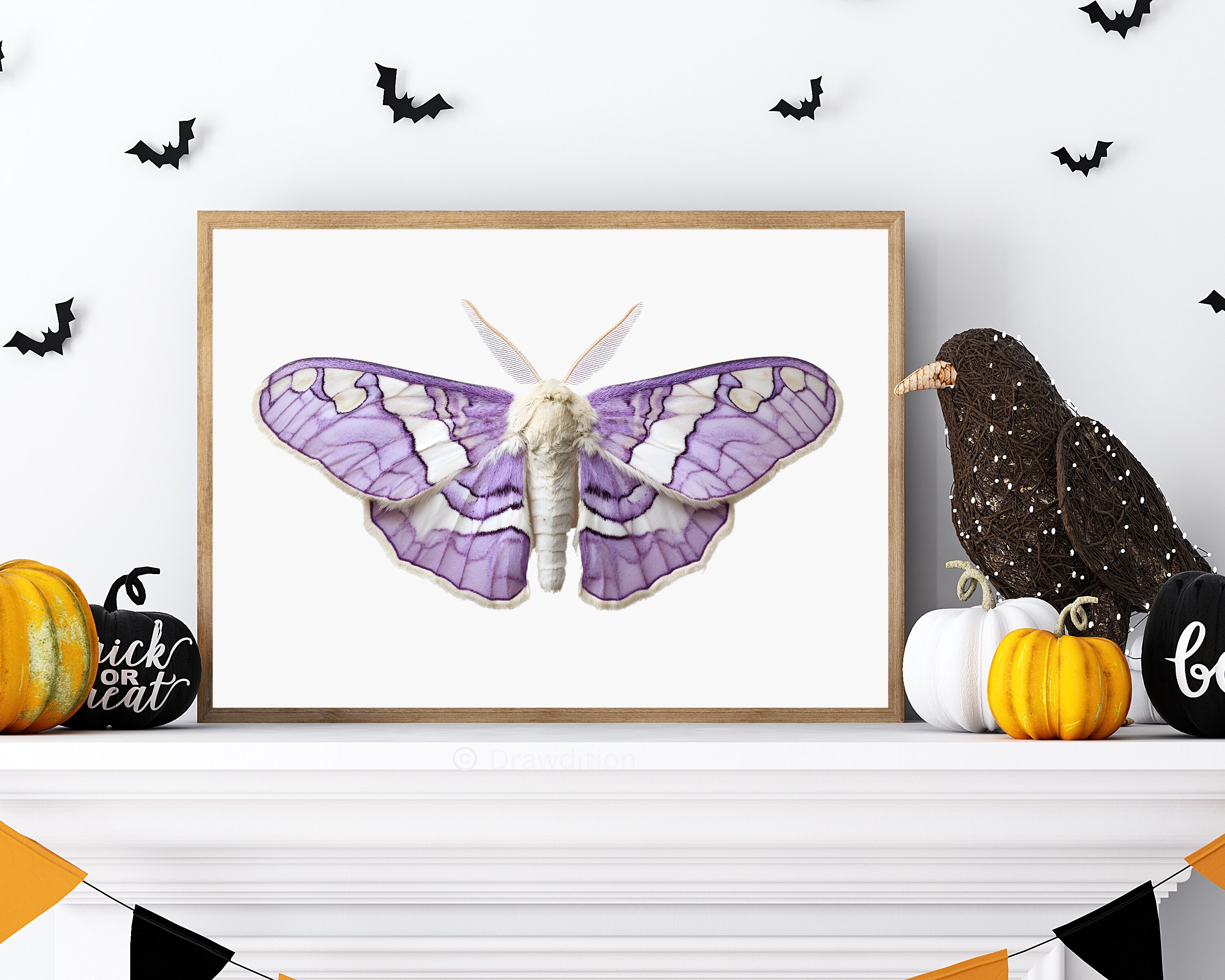 Purple Moth Wall Art DIGITAL DOWNLOAD Fall Moth Photo Autumn Moth Art ...
