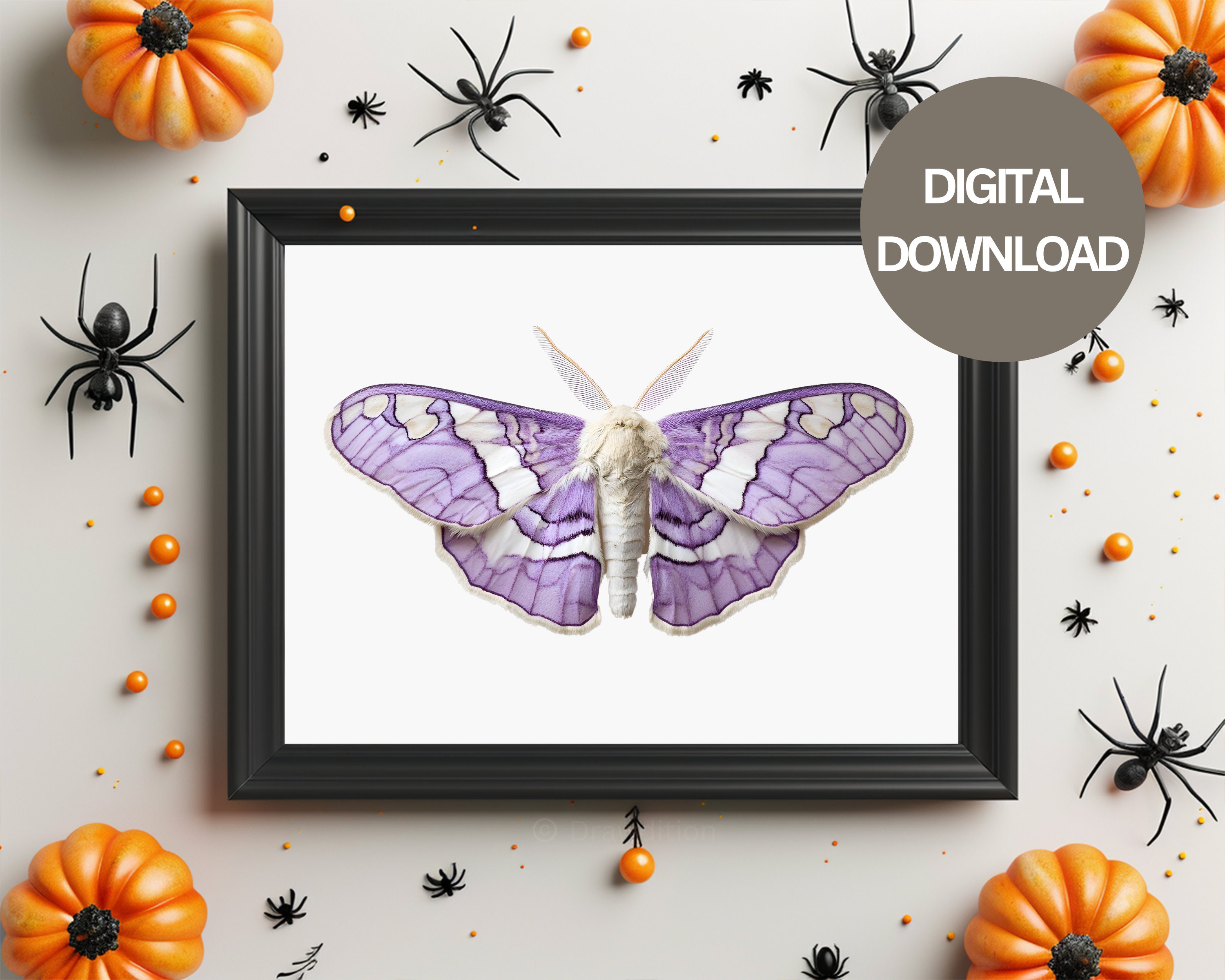 Purple Moth Wall Art DIGITAL DOWNLOAD Fall Moth Photo Autumn Moth Art ...