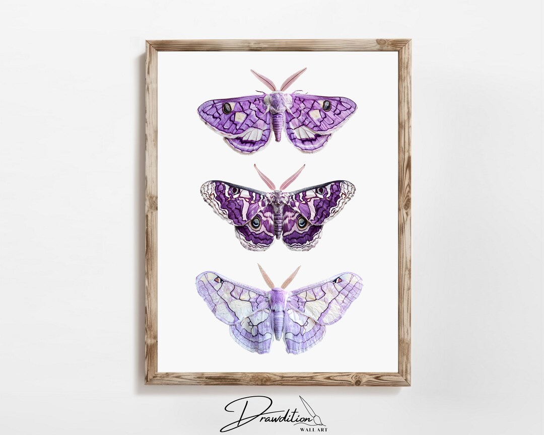 3 Purple Moths Wall Art DIGITAL DOWNLOAD Purple Fall Moths Photo Autumn ...