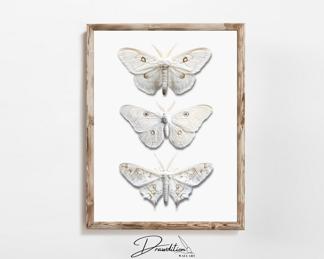 3 White Moths Wall Art DIGITAL DOWNLOAD Neutral Fall Moths Photo Autumn ...