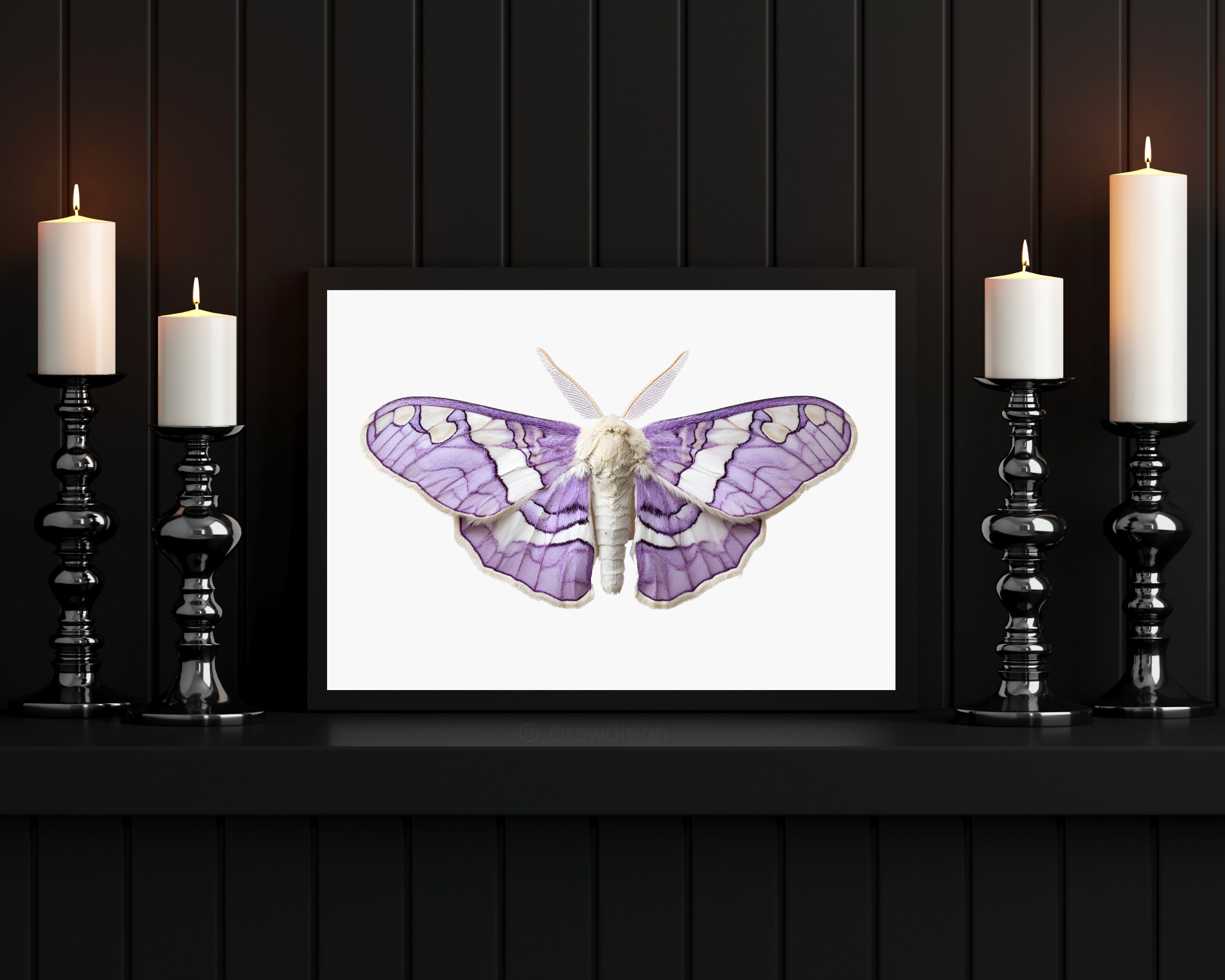 Purple Moth Wall Art DIGITAL DOWNLOAD Fall Moth Photo Autumn Moth Art ...