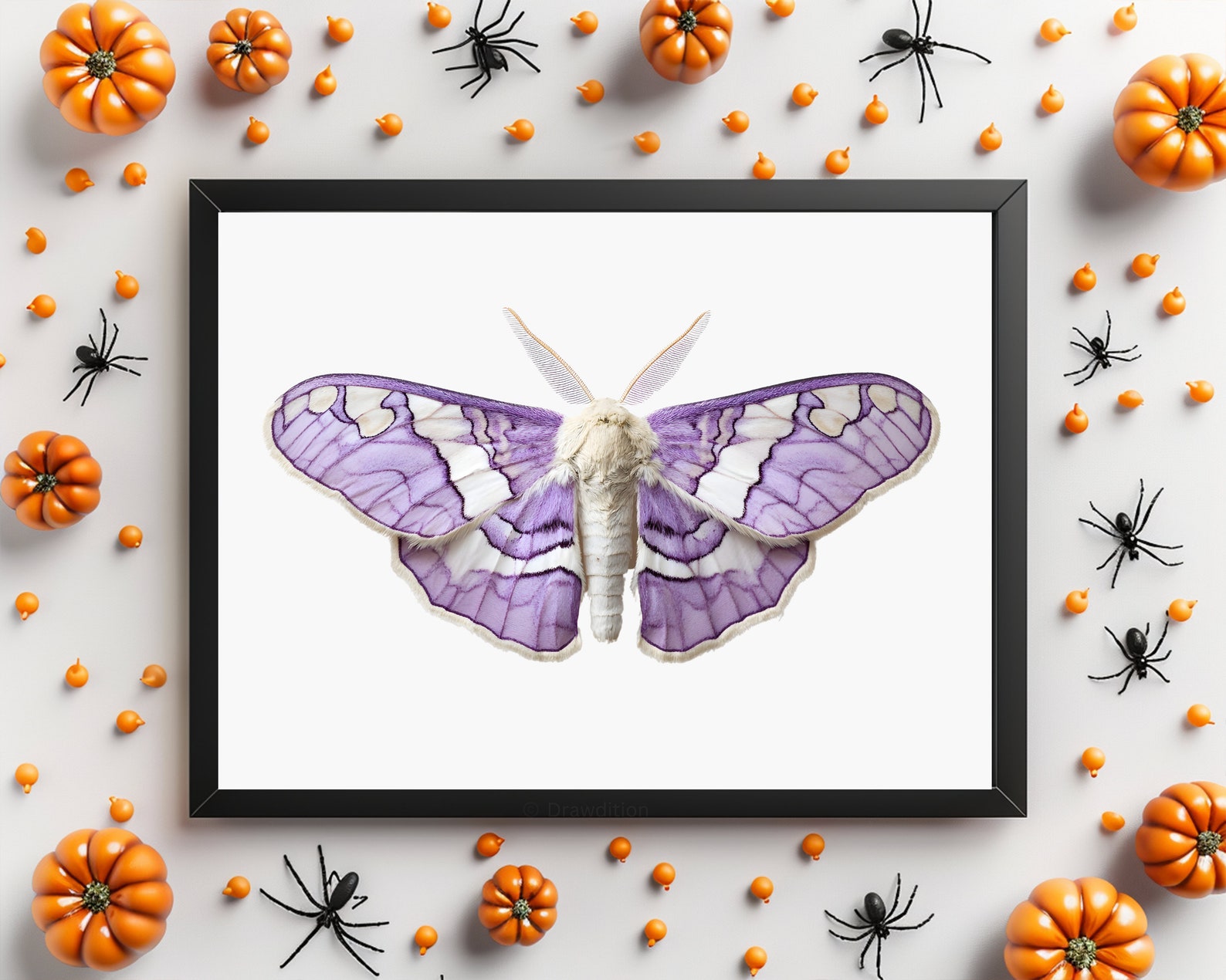 Purple Moth Wall Art DIGITAL DOWNLOAD Fall Moth Photo Autumn Moth Art ...