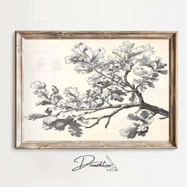 Oak Branch - Etsy