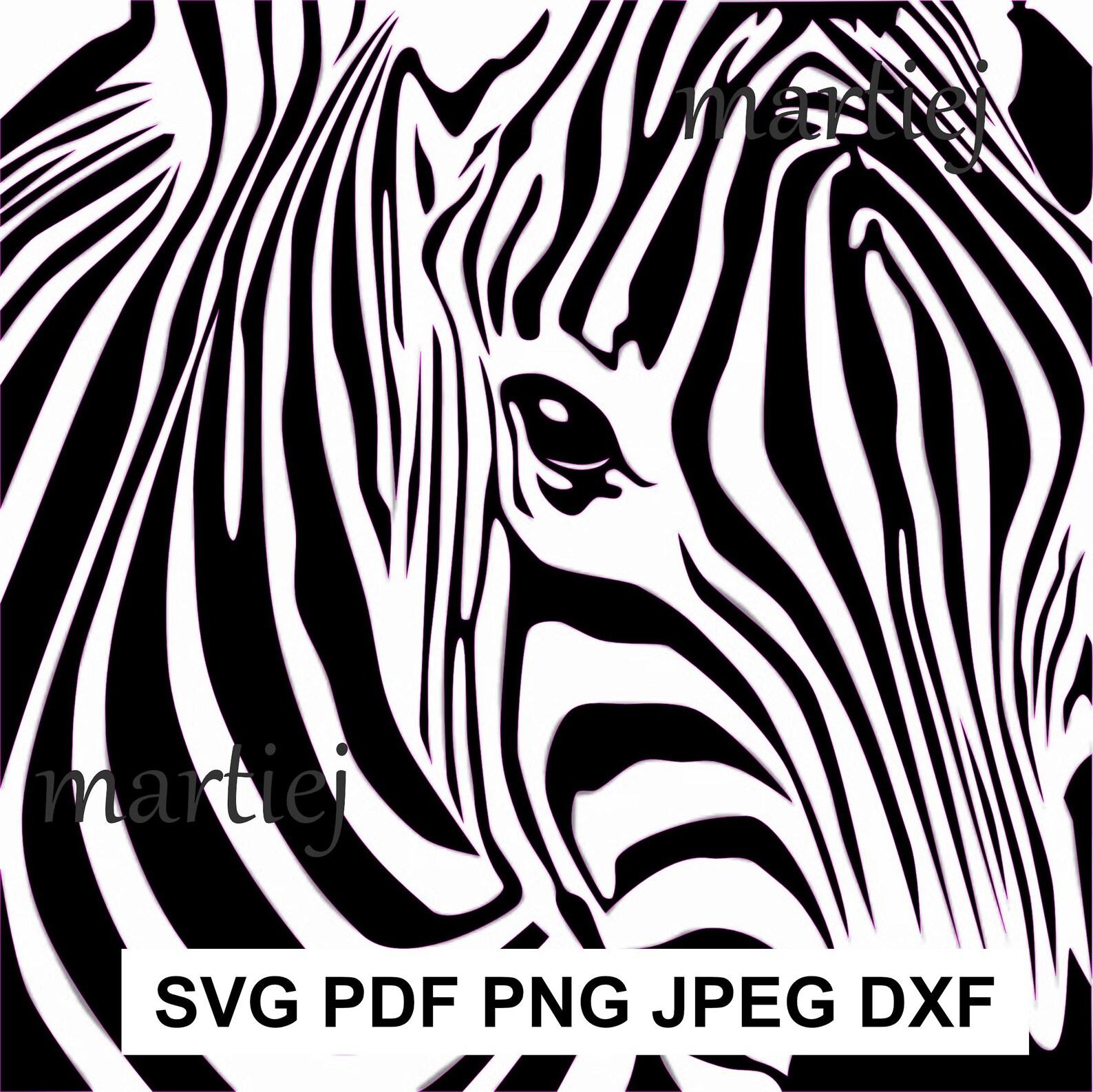 Realistic Zebra Illustration, Pdf Png Vector, Stencil, Logo Vector ...