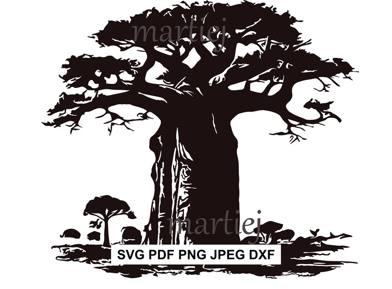Realistic Boabab Tree, Pdf Png Vector, Stencil, Logo Vector, Stencil ...